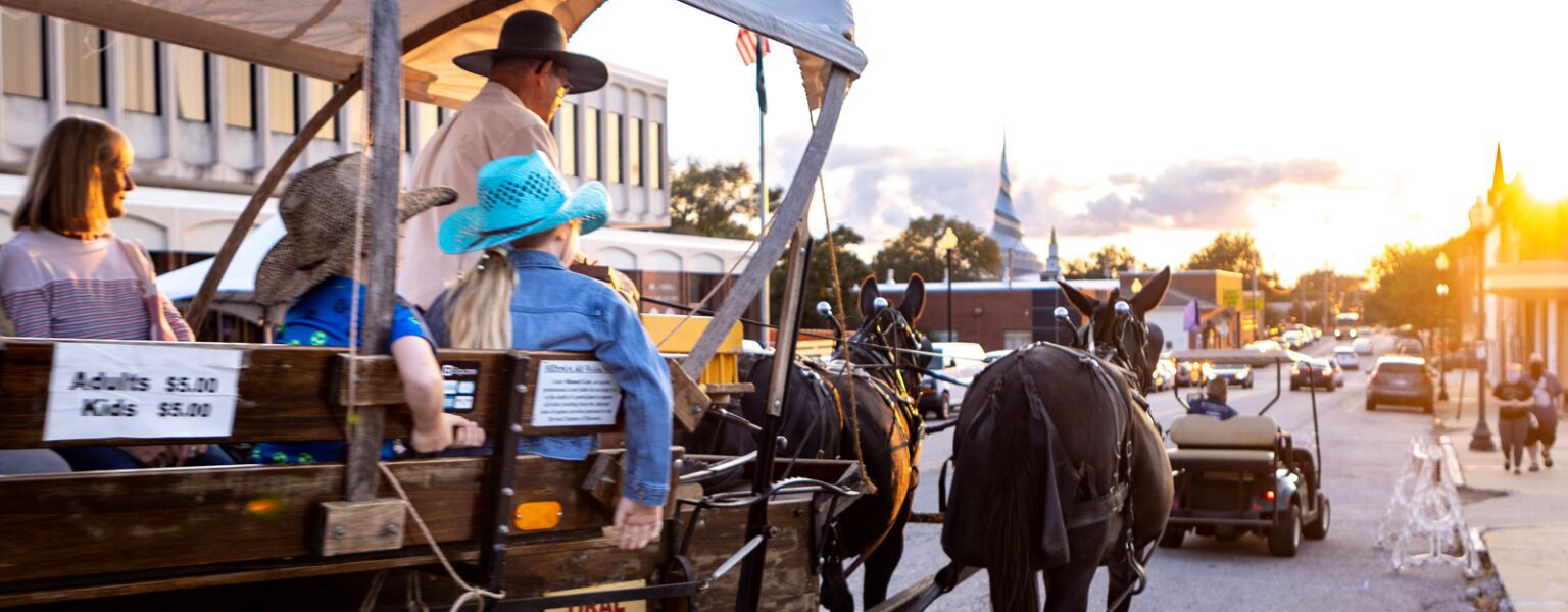Kansas City Renaissance Festival | Visit KC