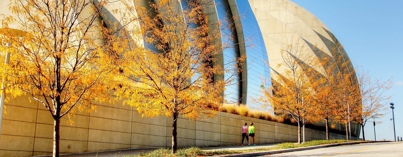 KC Wine Co. & KC Pumpkin Patch | Visit KC