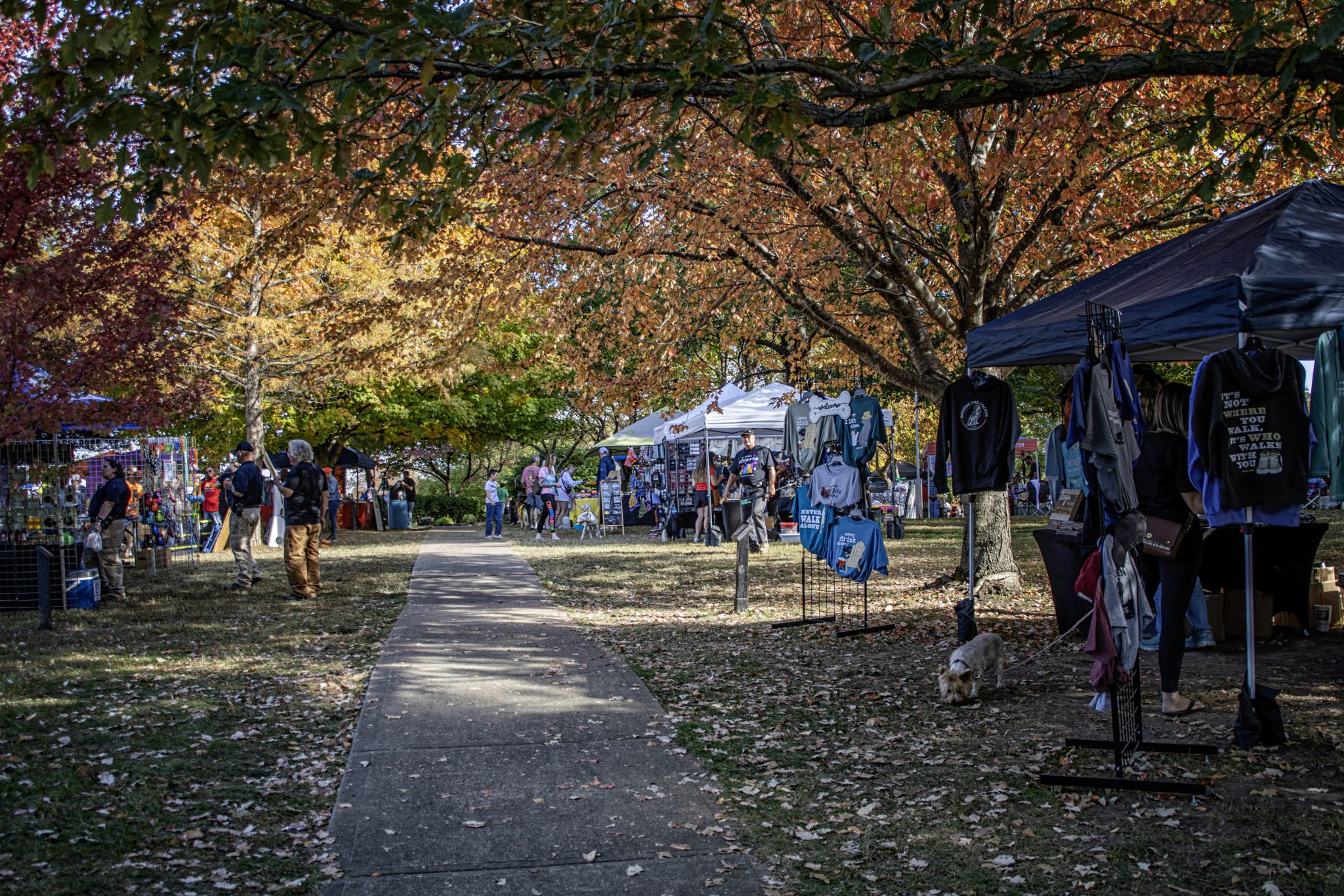 Zoo and Animal Parks Around Kansas City | Visit KC
