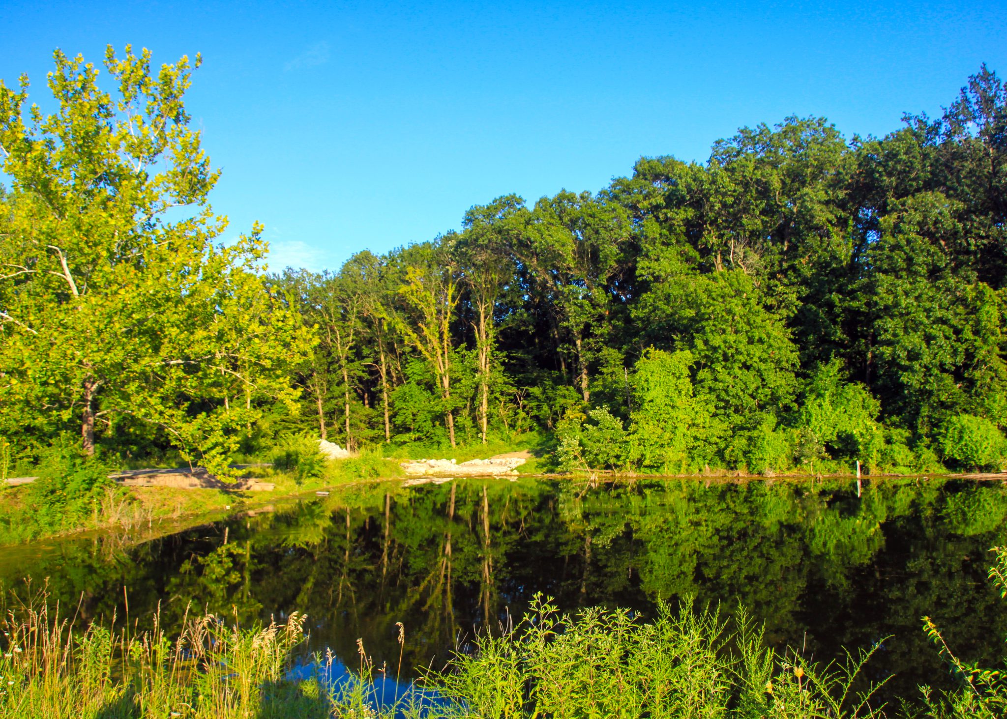 George Owens Nature Park | Visit KC