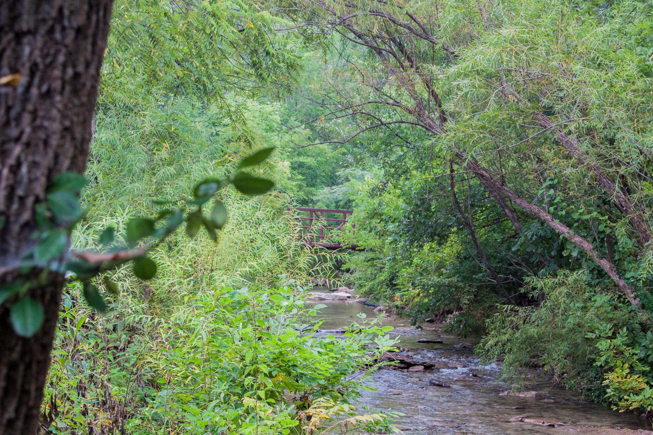 Fleming Park | Visit KC