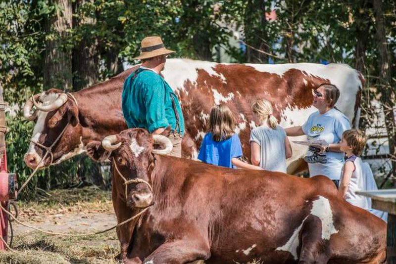 Mahaffie Stagecoach Stop & Farm | Visit KC